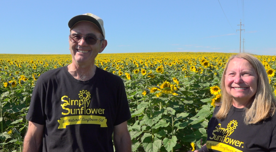 ‘You Can’t Frown at a Sunflower’: Koelling Family welcomes visitors to ...